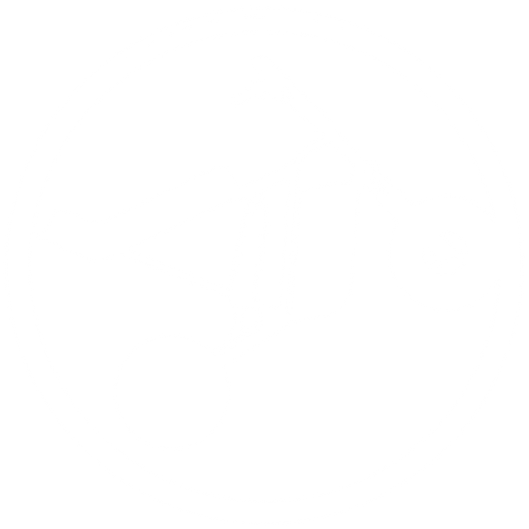 Wheelie Fun Bike V1 Specs & Features | 5,000W Stunt eBike